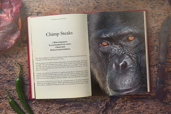 Overview — George Logan