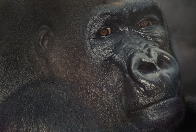 Overview — George Logan