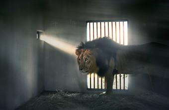 Overview — George Logan