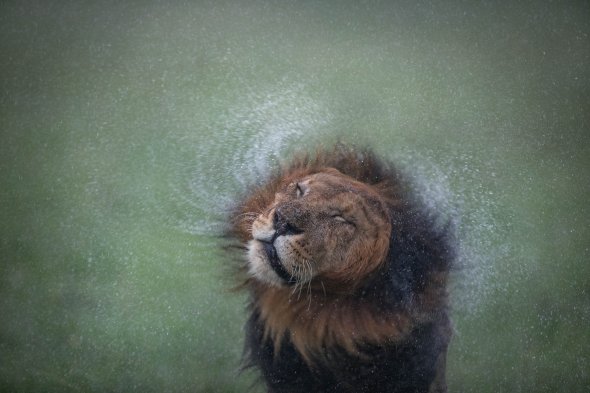 Overview — George Logan