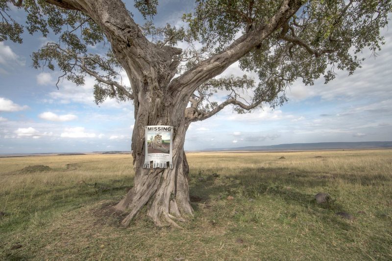 Overview — George Logan