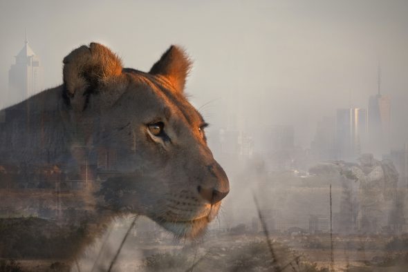 Overview — George Logan